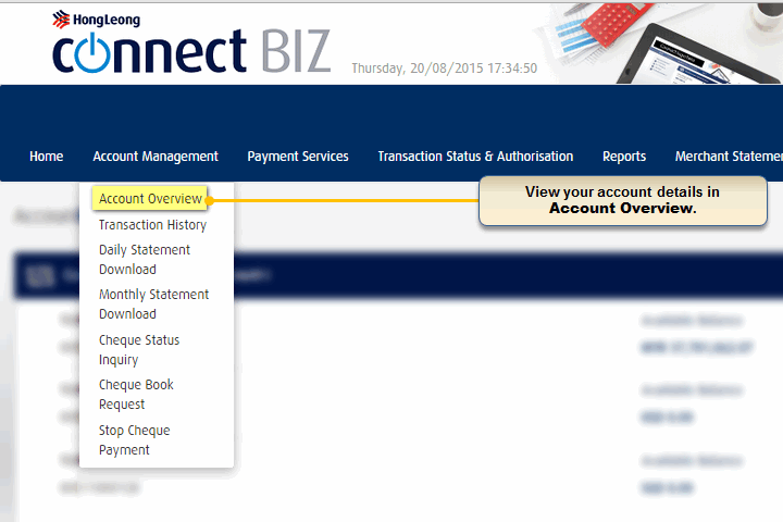 Connect BIZ User Guide