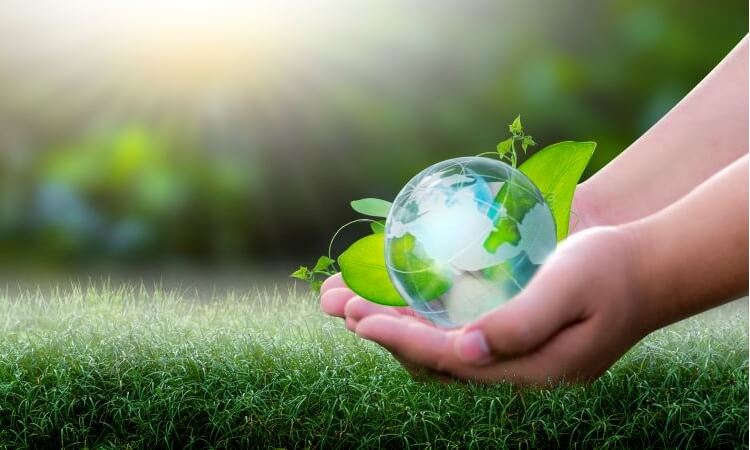 BNM Low Carbon Transition Facility (LCTF) - HLB